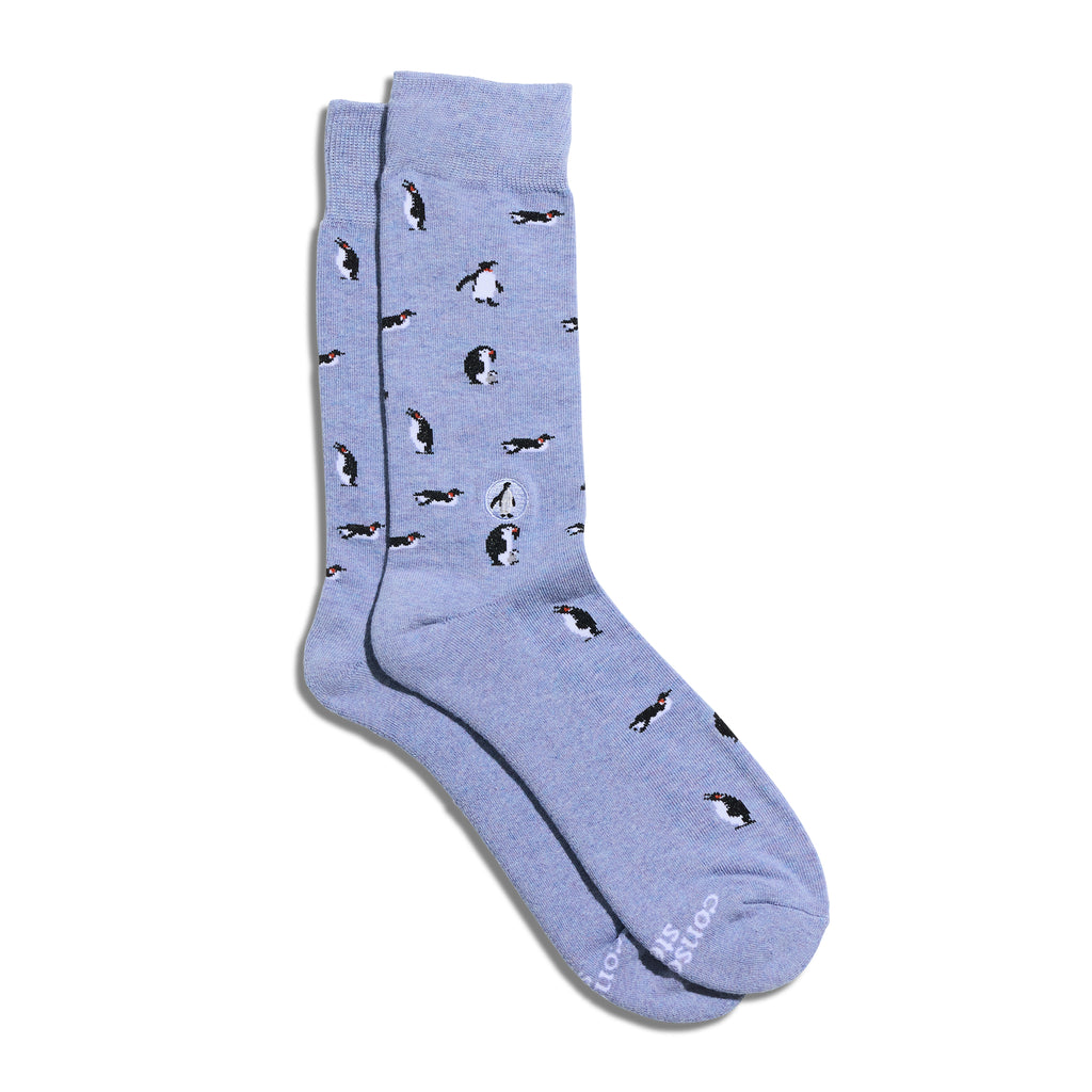 Socks that Protect Penguins | Eco Friendly Socks | Conscious Step